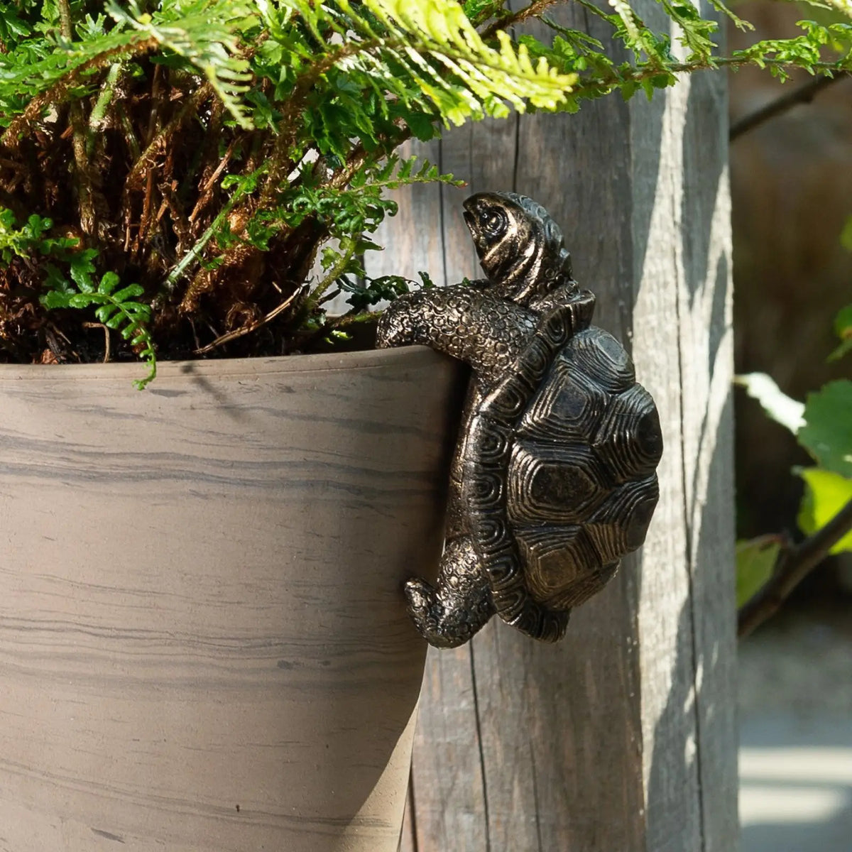 Resin Turtle Planter Pot Decor Woodland Gatherer Gift Shop Australia