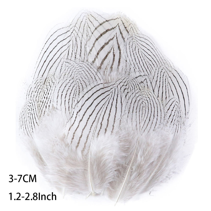 Fifty Mixed Natural Feathers for Crafts, Jewellery Making or Decoratio ...